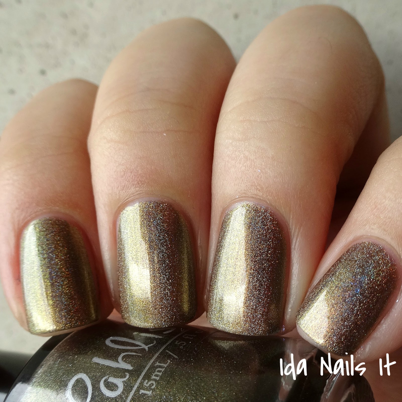 Ida Nails It: The Holo Hookup December 2015 Collaboration Box: Swatches ...