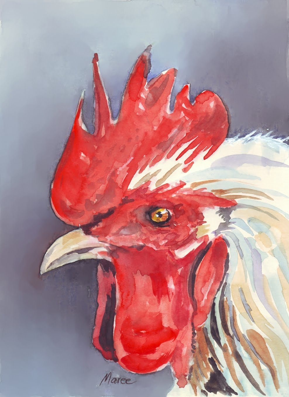 Sketching in Nature: Chook (and Doris) - Maree