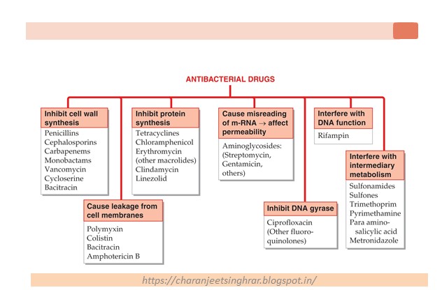 Pharmacological Classification of Drugs
