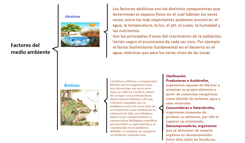 LA CULTURA: junio 2017
