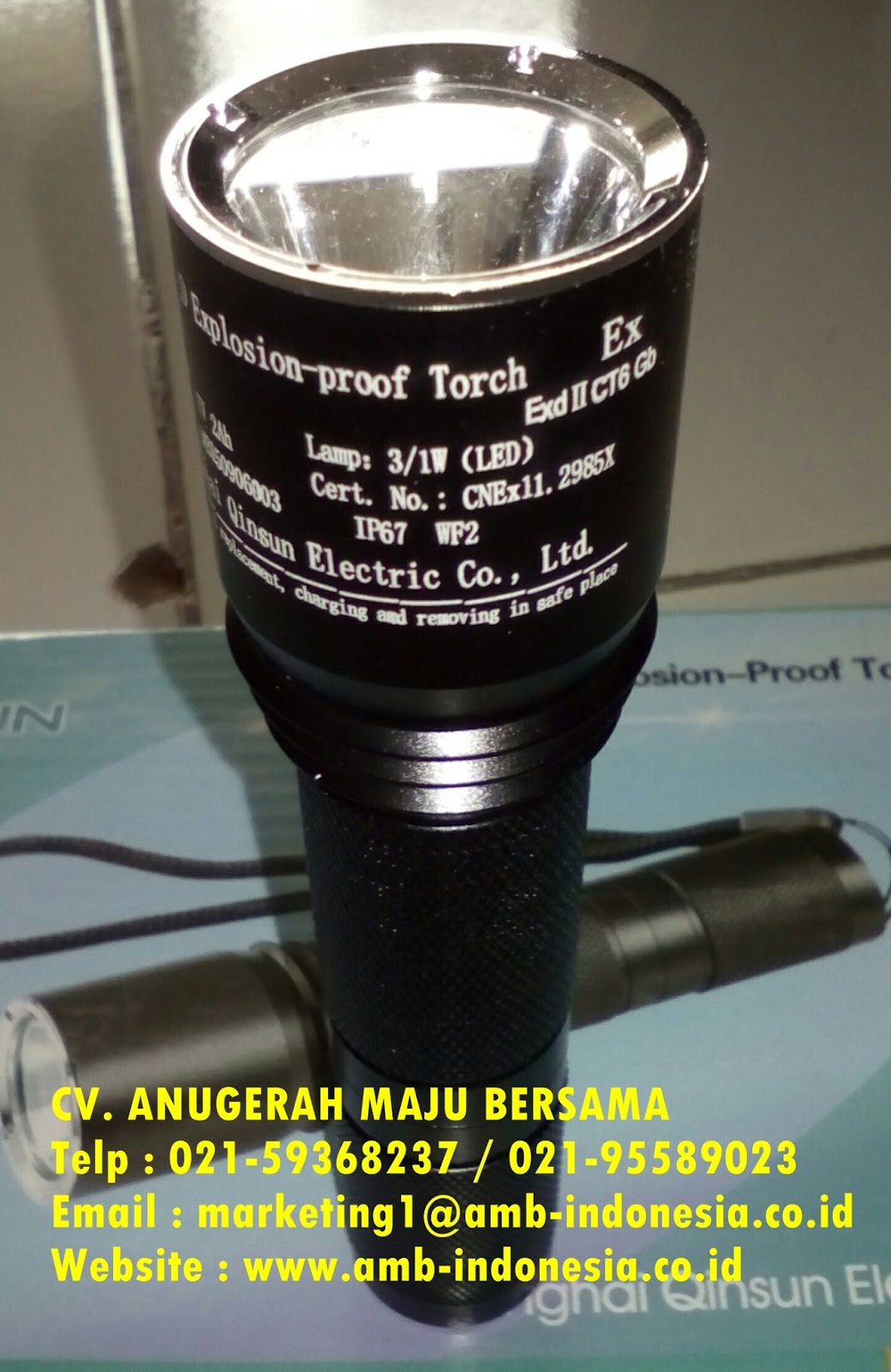Qinsun Led Explosion Proof: Jual Lampu Senter Led Explosion Proof ...