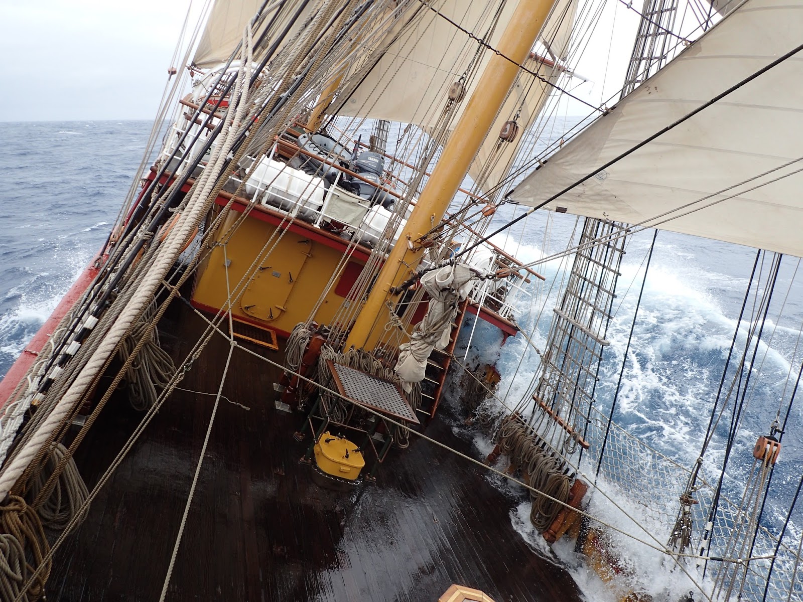Sailing Antarctica Seas!: Sailing the Drake Passage... aka Drake Shake!