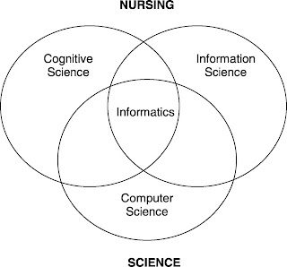 SNSD4ever: Theories in Nursing Informatics