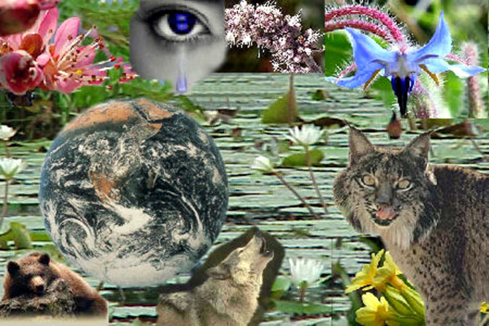 desarrollo sustentable: Escenario modificado