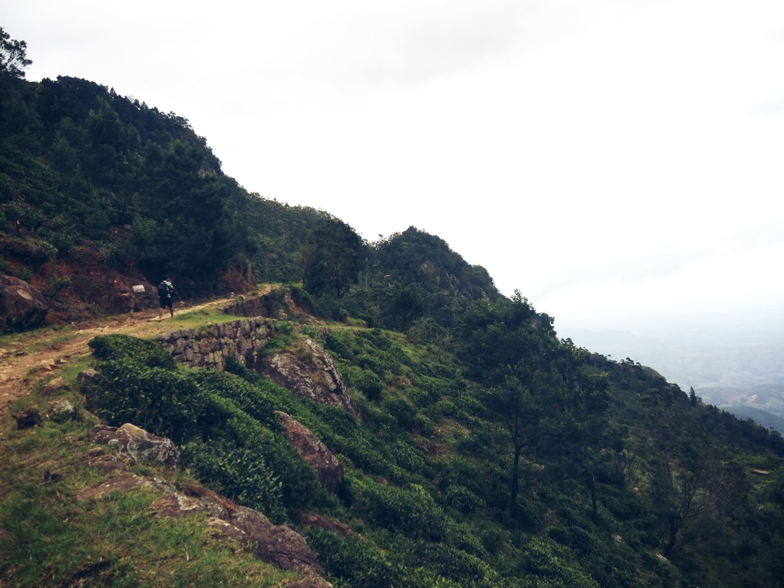 ලින්කන්ගෙ වෙබ් පිටුව: ඔහිය සිට යකාගේ පඩිපෙල පසුකර බඹරකන්ද දියඇල්ලට ...