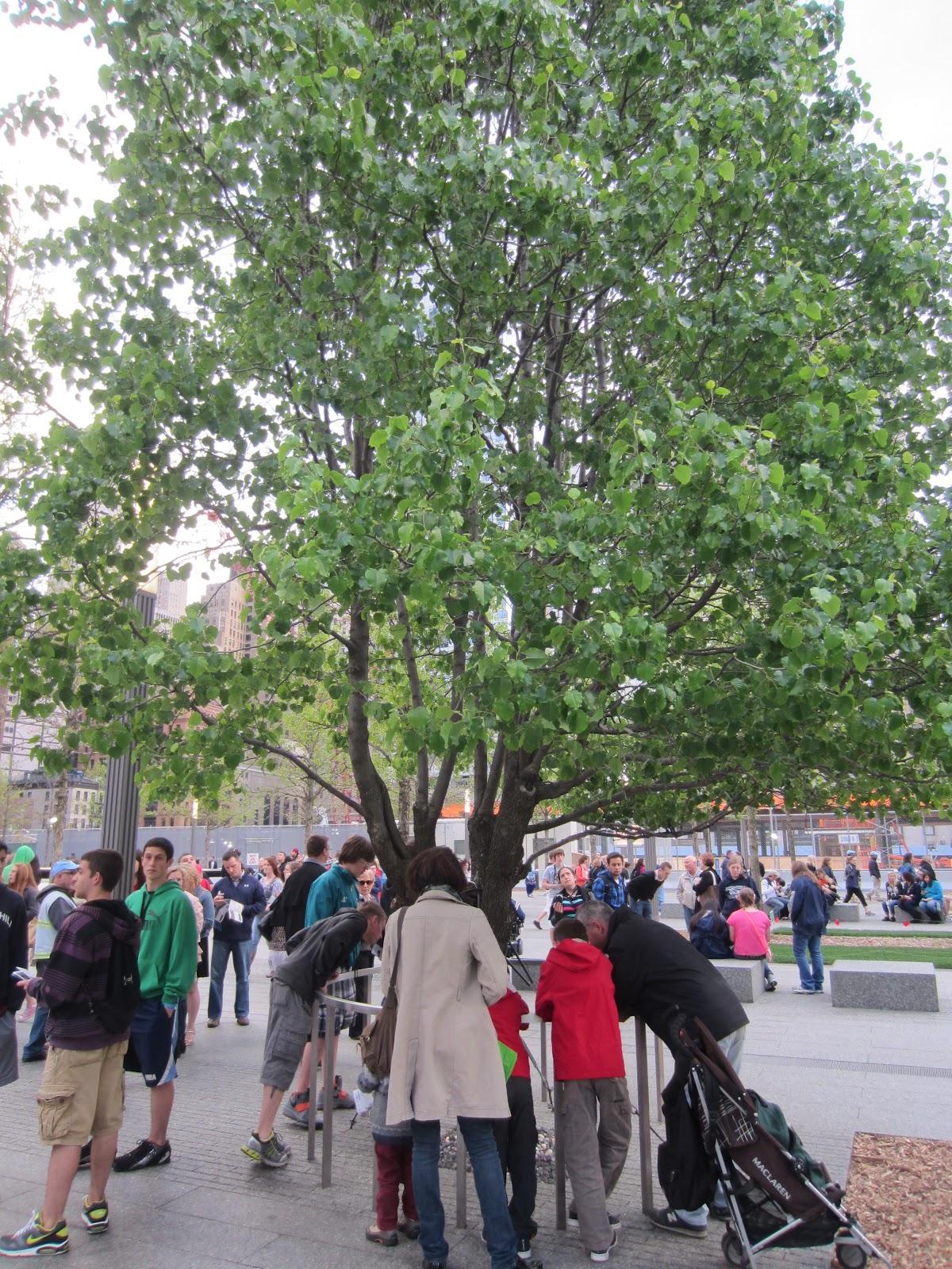 Pay a Visit: Visiting the 9/11 Memorial