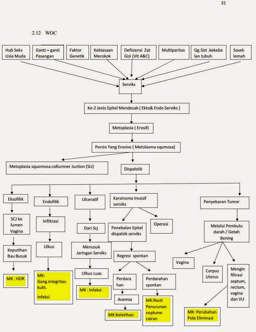 Hidayatul Mahsunah: ASUHAN KEPERAWATAN PADA PASIEN DENGAN CA CERVIX (KANKER SERVIKS )