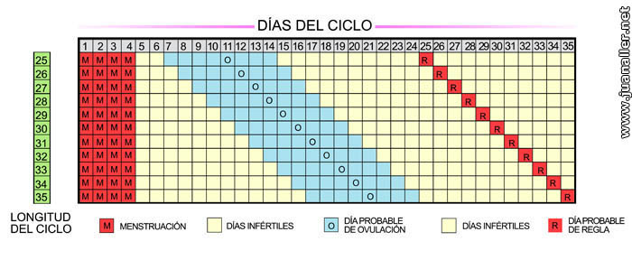 Medicina y Sus Ramas: Ginecología
