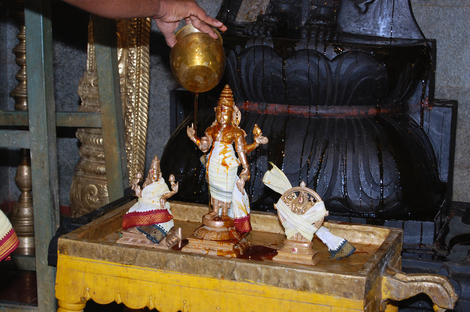 Danvantri Peedam - Universal Peedam: வாலாஜாபேட்டை, ஸ்ரீ தன்வந்திரி ...