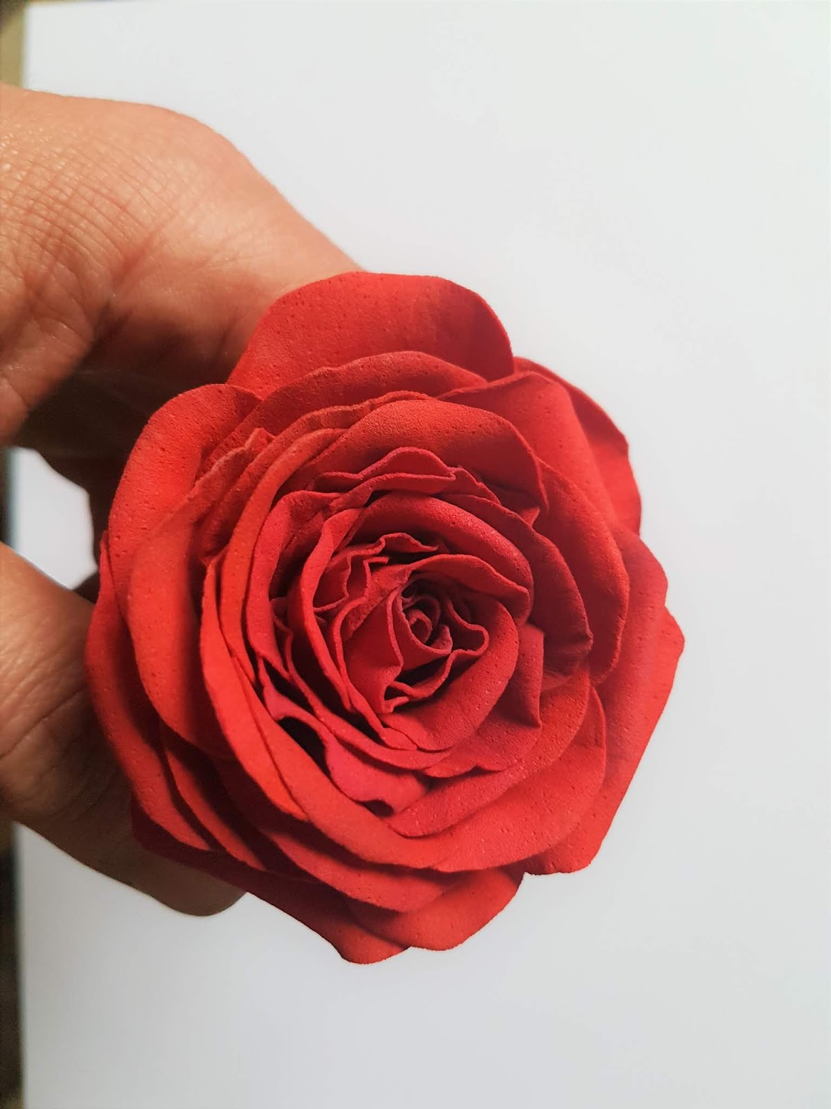 Barnsley Crafter: Simple Red Rose