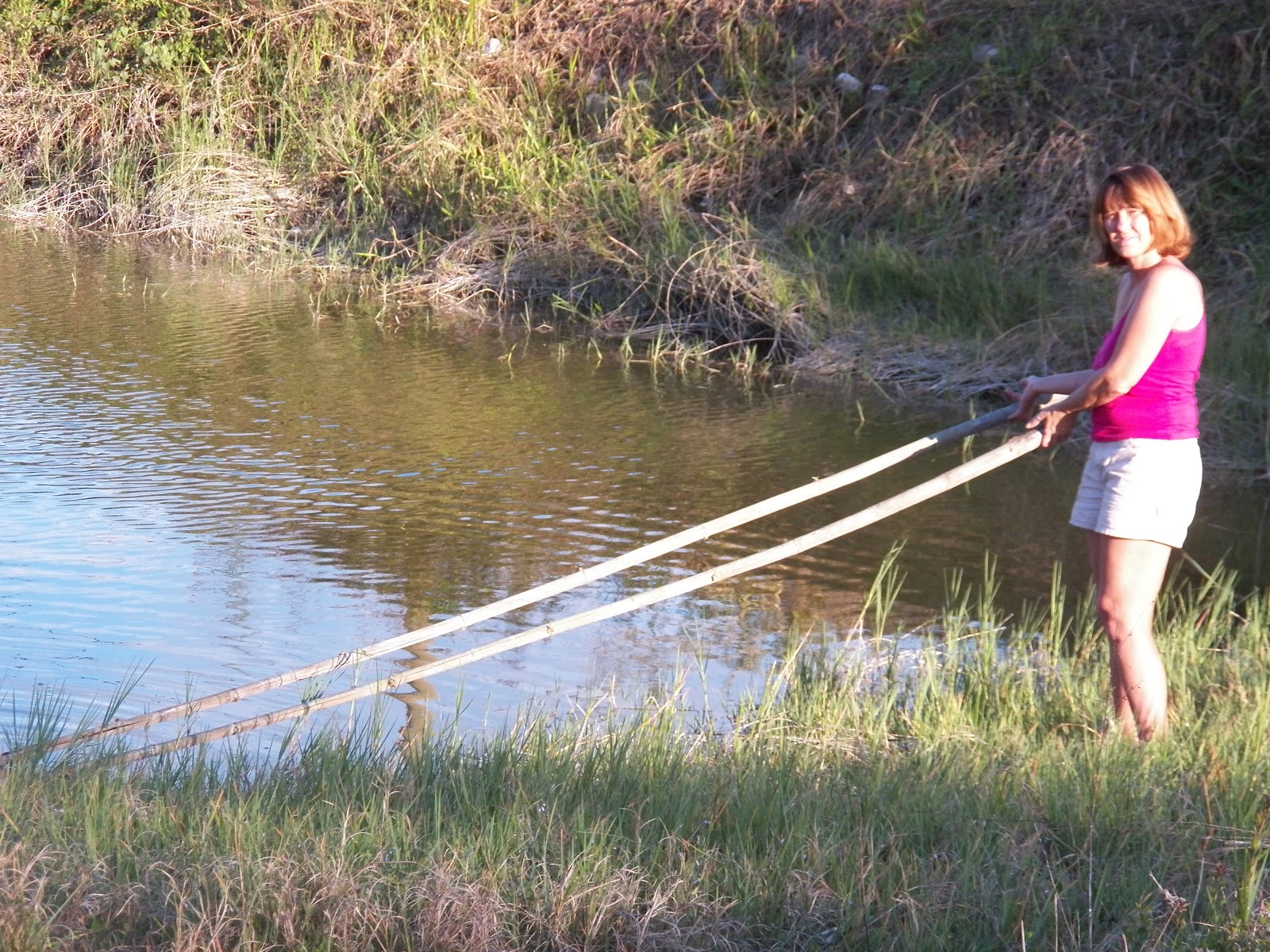 My Backyard: We made our own bamboo cane fishing poles
