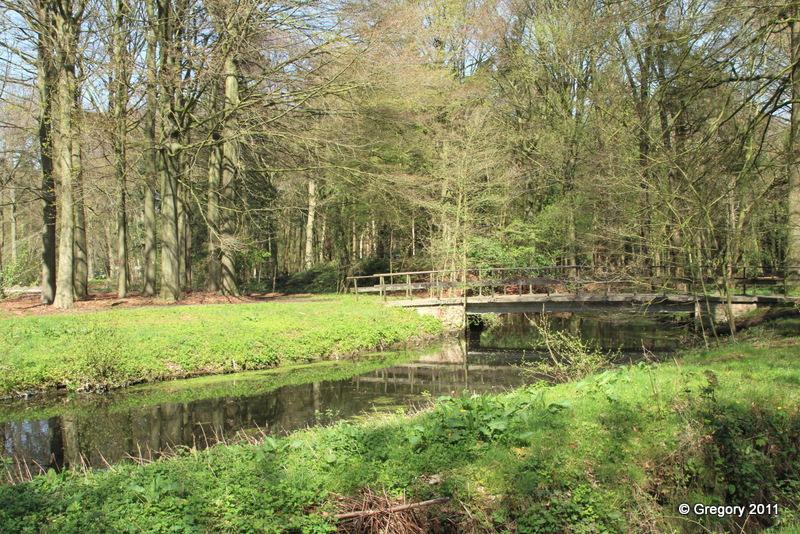 Foto's van Gregory: Wandeling Groenhovebos ( torhout )(deel 1/2 )