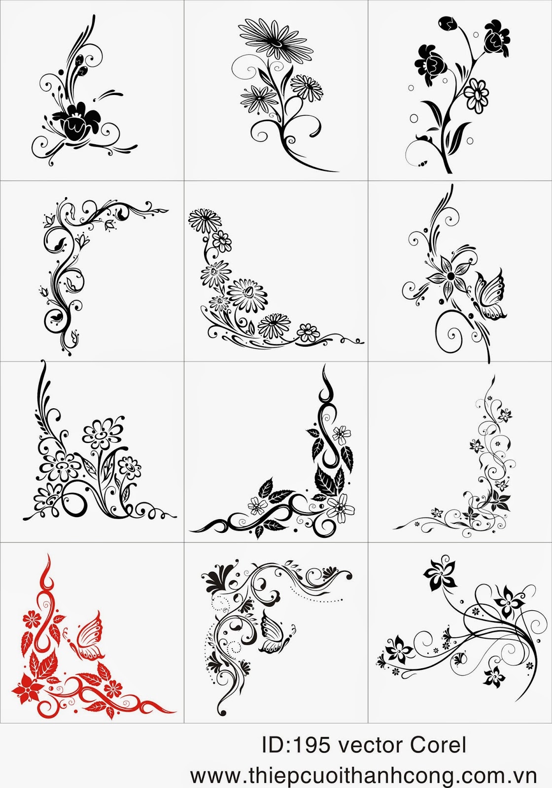 vietsinhvienit: khung viền vector