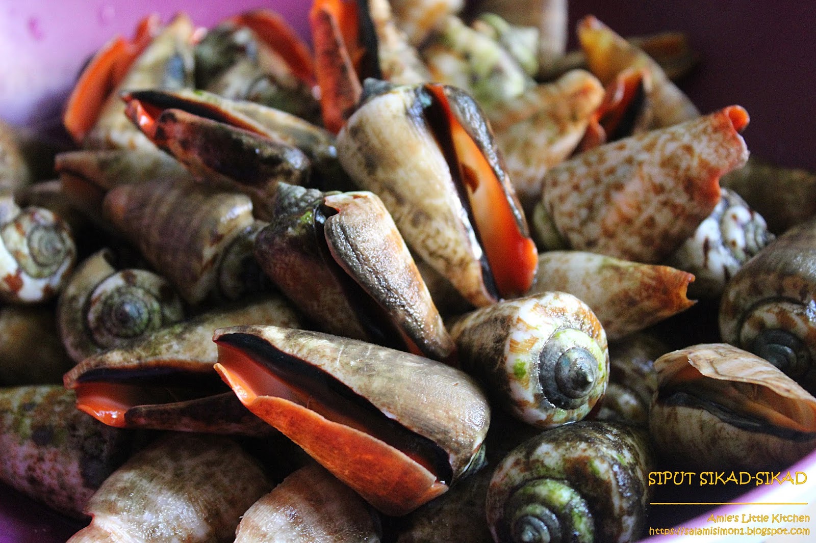 Siput Sikad-Sikad - Amie's Little Kitchen