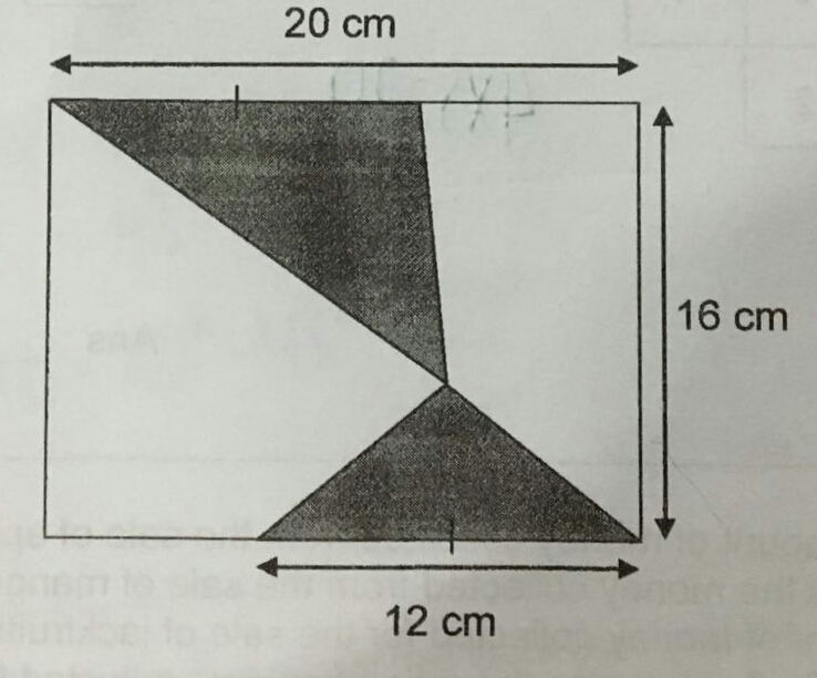 Math Addit!: Area Concepts (Triangles with Common Bases or Heights)