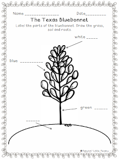Teachin' Little Texans: Bluebonnets!