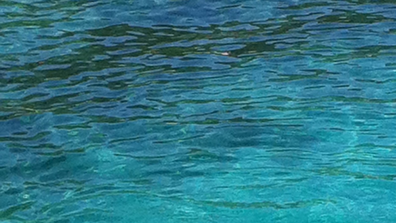 colourful carool: zeewater...