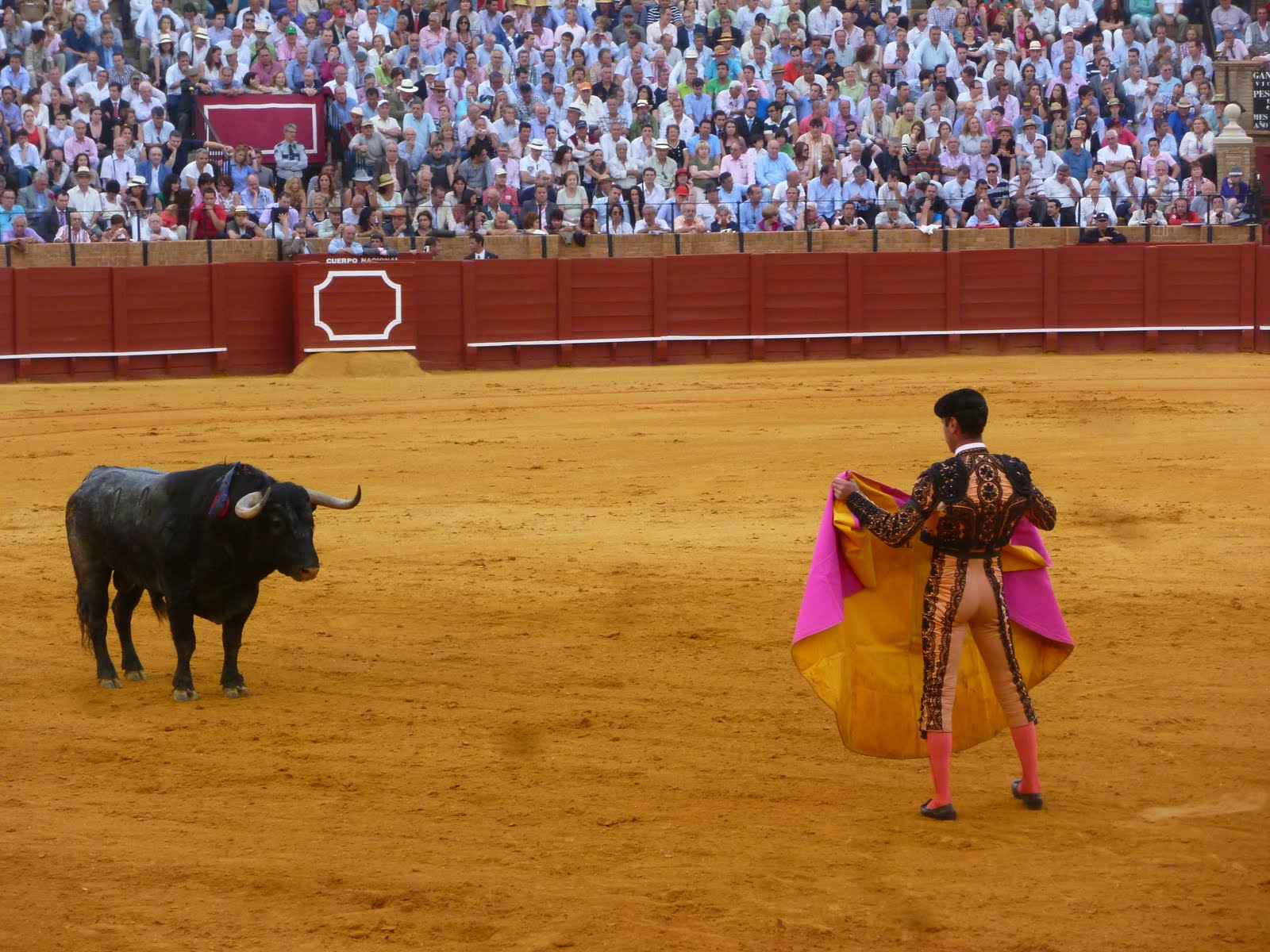 Del toro al infinito: Sevilla 2011. Victorino pone en circulación el ...