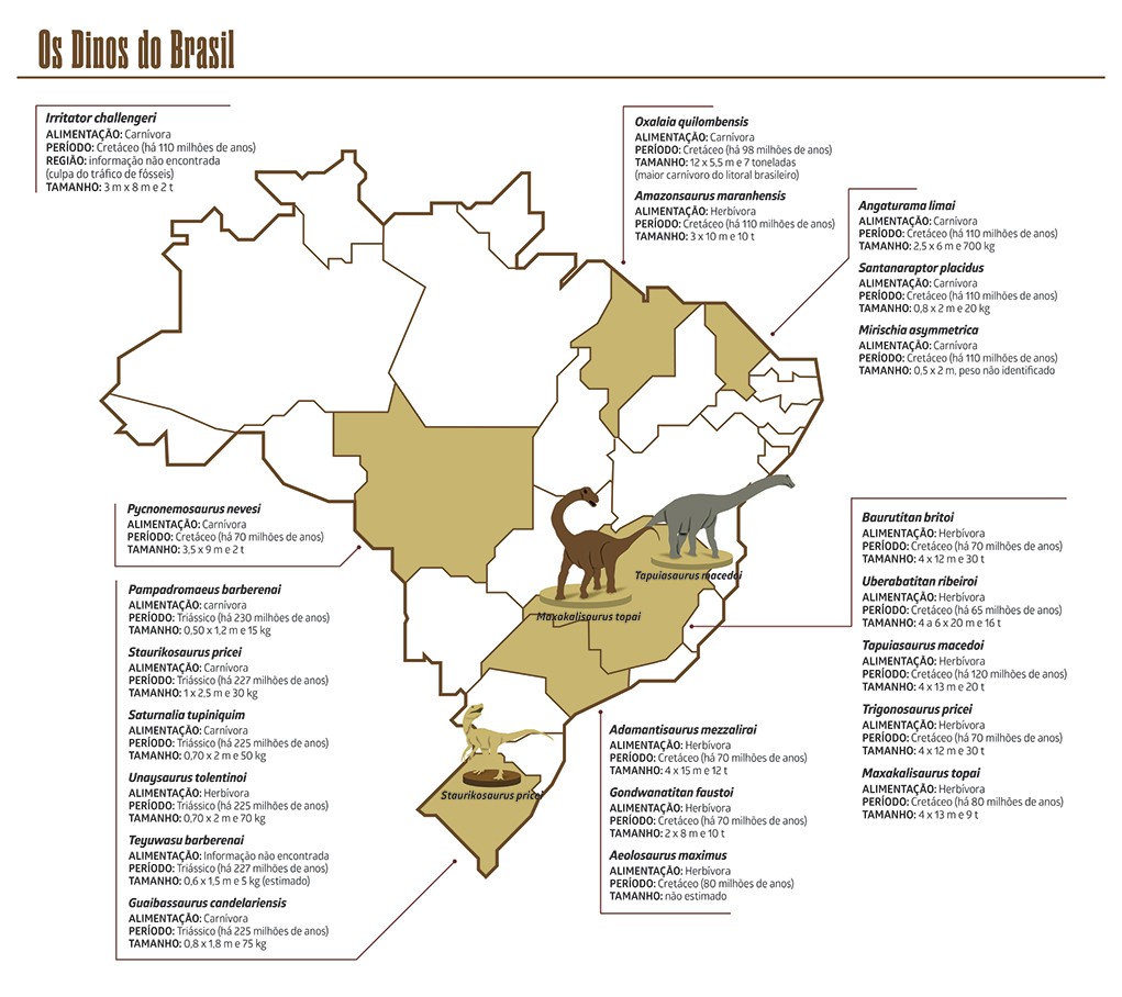 Argonauta: Pterossauros - primeiros vertebrados voadores