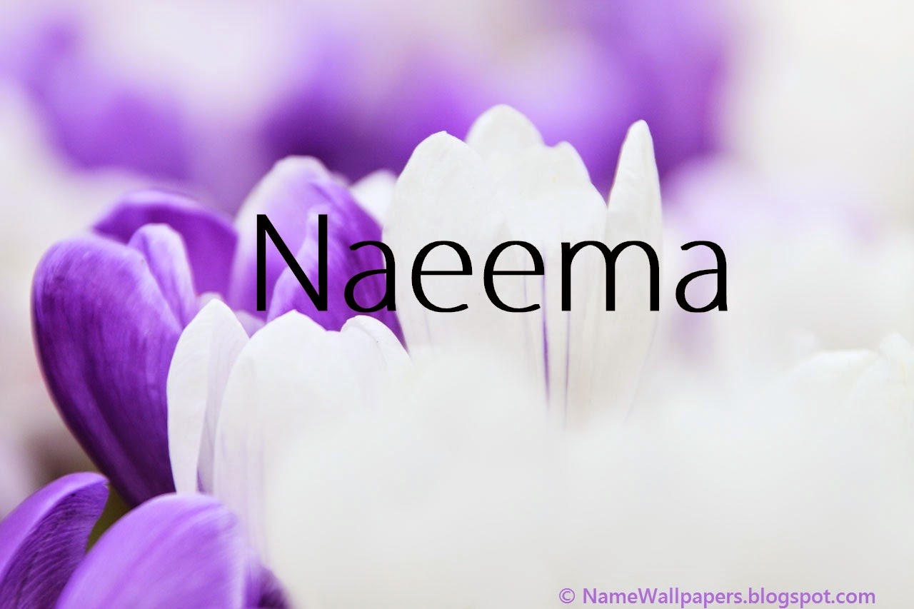 Naeema Name Wallpapers Naeema ~ Name Wallpaper Urdu Name Meaning Name ...