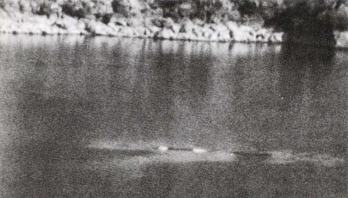 67 Not Out: Issie The Monster In Lake Ikeda Japan