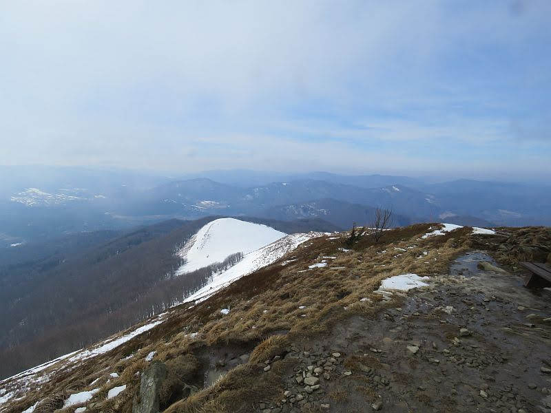 Zew Natury: Marcowy Smerek