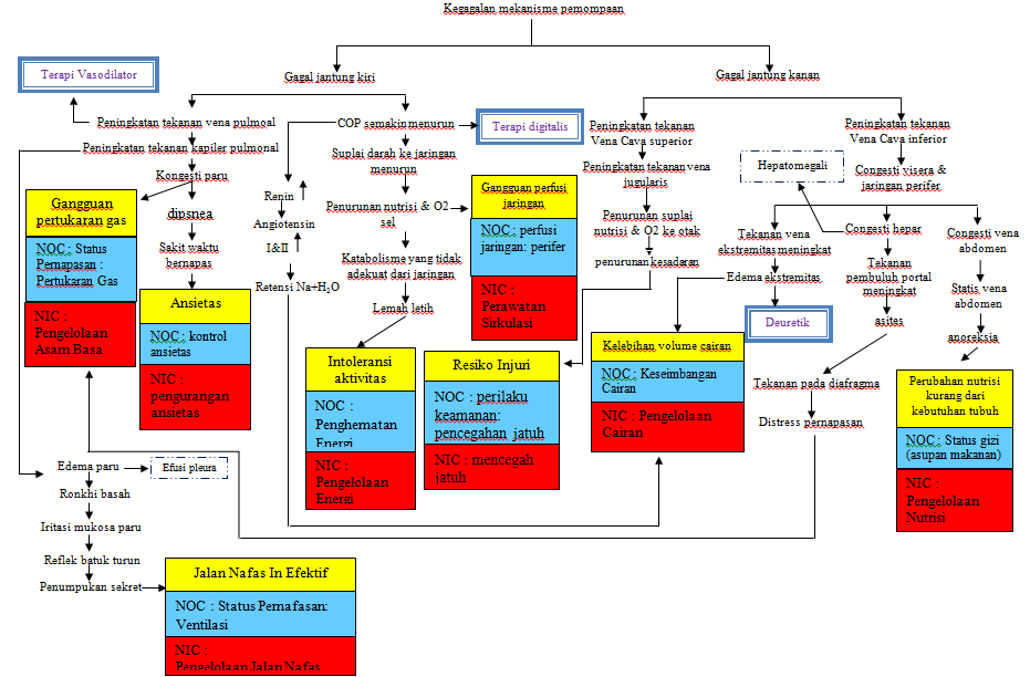 Pathway CHF (gagal jantung kongestif)