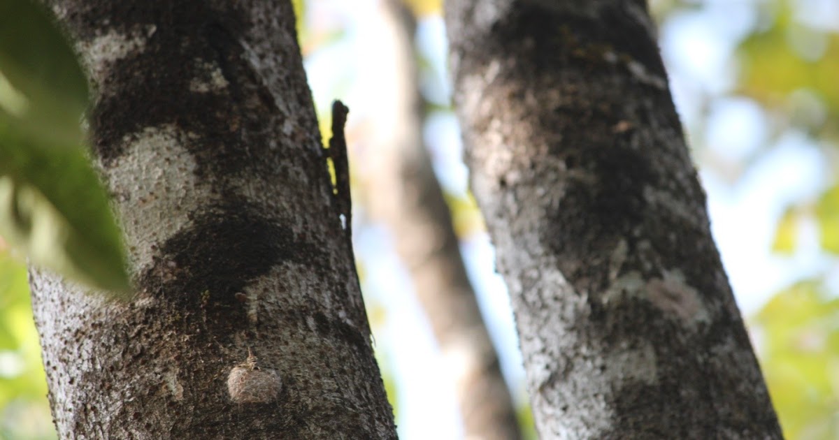 Live Experience : Another Expedition in the Gerry Martin Wildlife ...