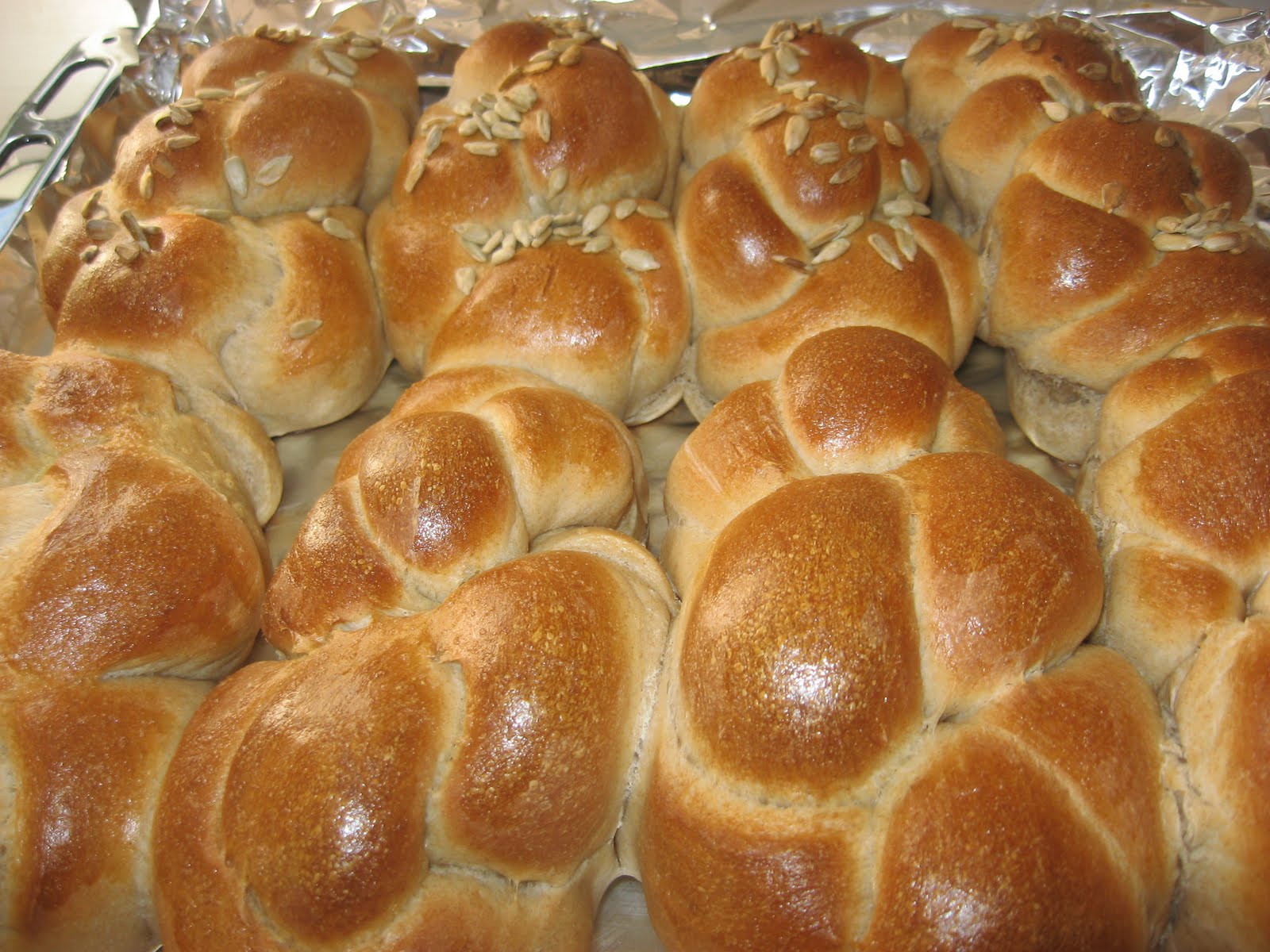 Torah para Niños: mmmmmmm........