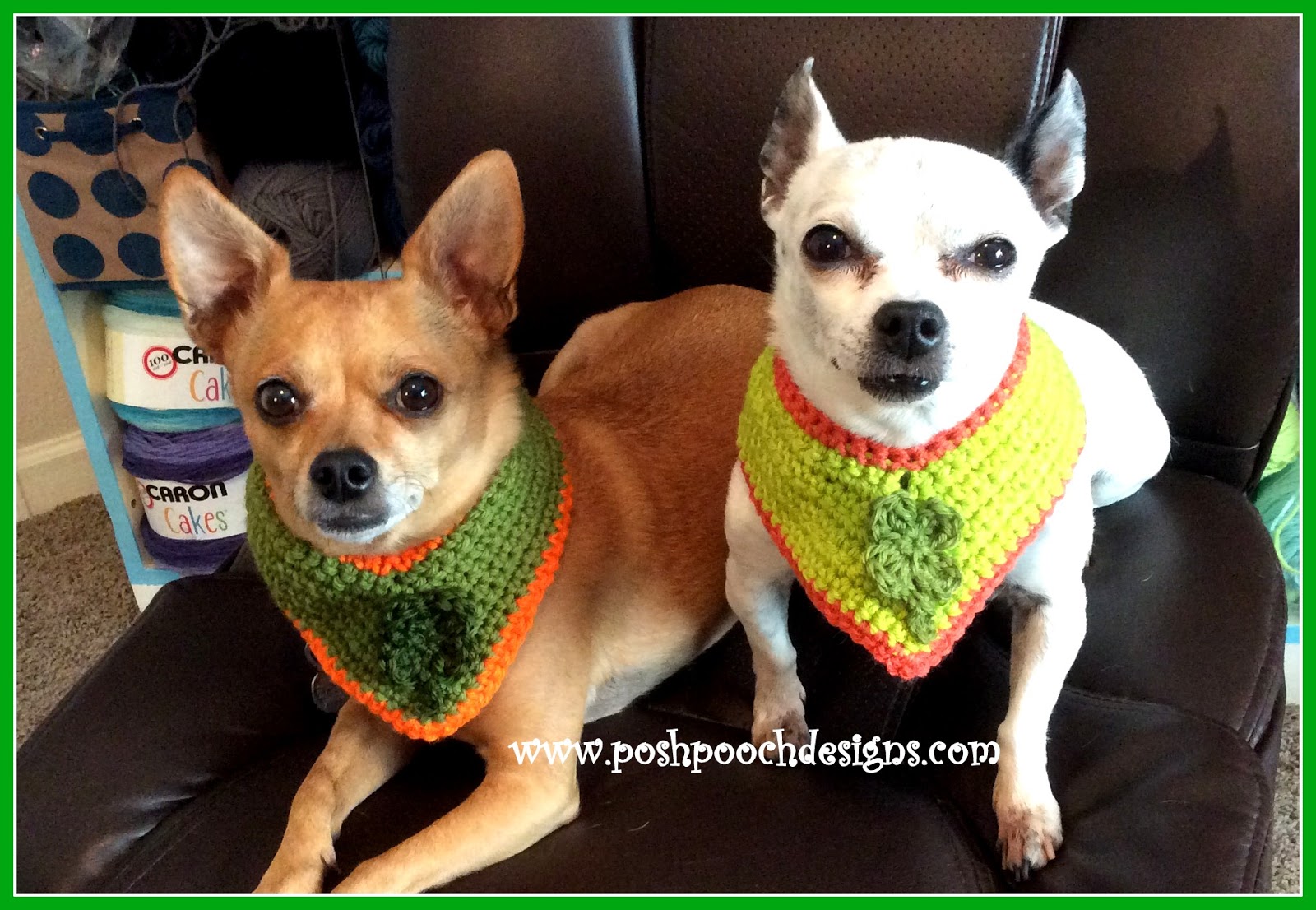 Posh Pooch Designs : Shamrock Dog Collar Crochet pattern