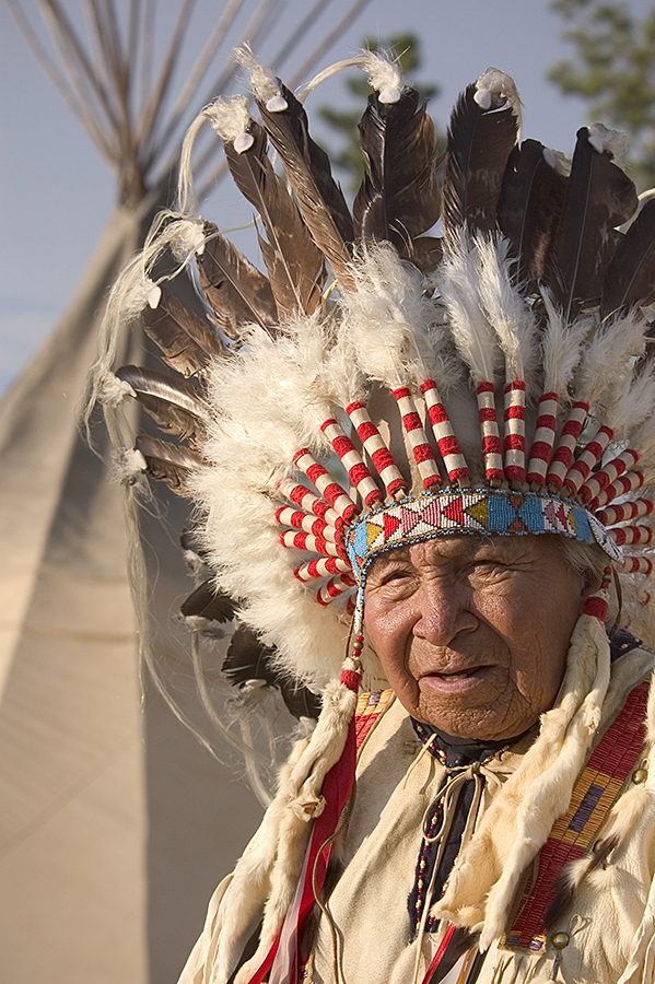 White Wolf : Fascinating Facts And Pictures About Chief David Bald ...