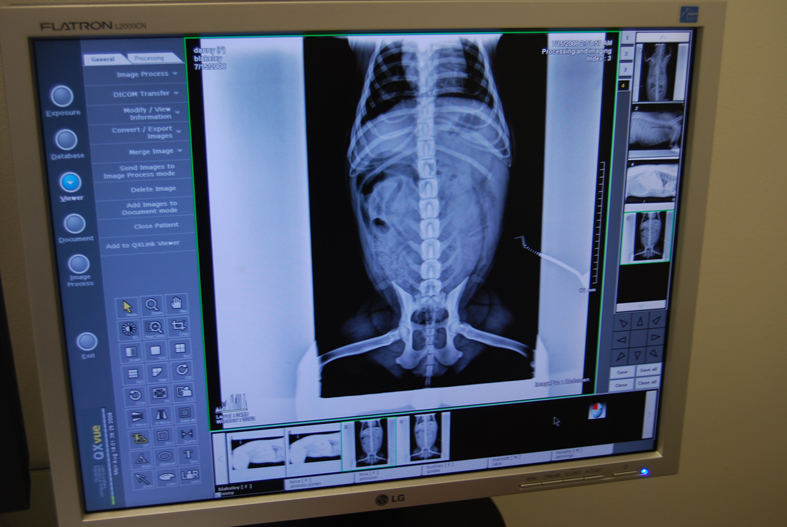 Audi Alteram Partem: No Red Lights – The Unstoppable March Of ...