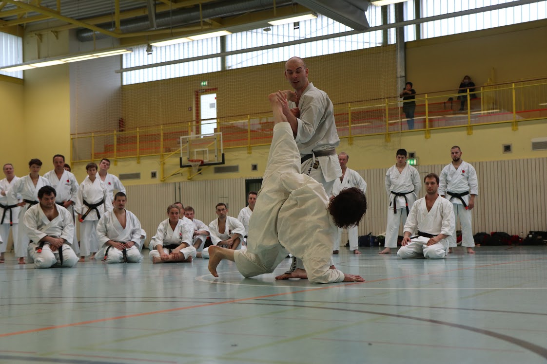 André Bertel's Karate-Do: ANDRE BERTEL SEMINAR – KREFELD, GERMANY 2017 ...