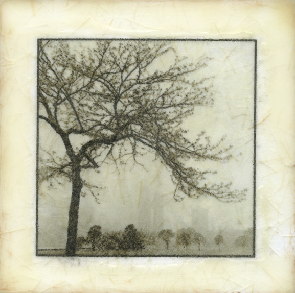 Emmanuel Chaussade: Vicky Reed