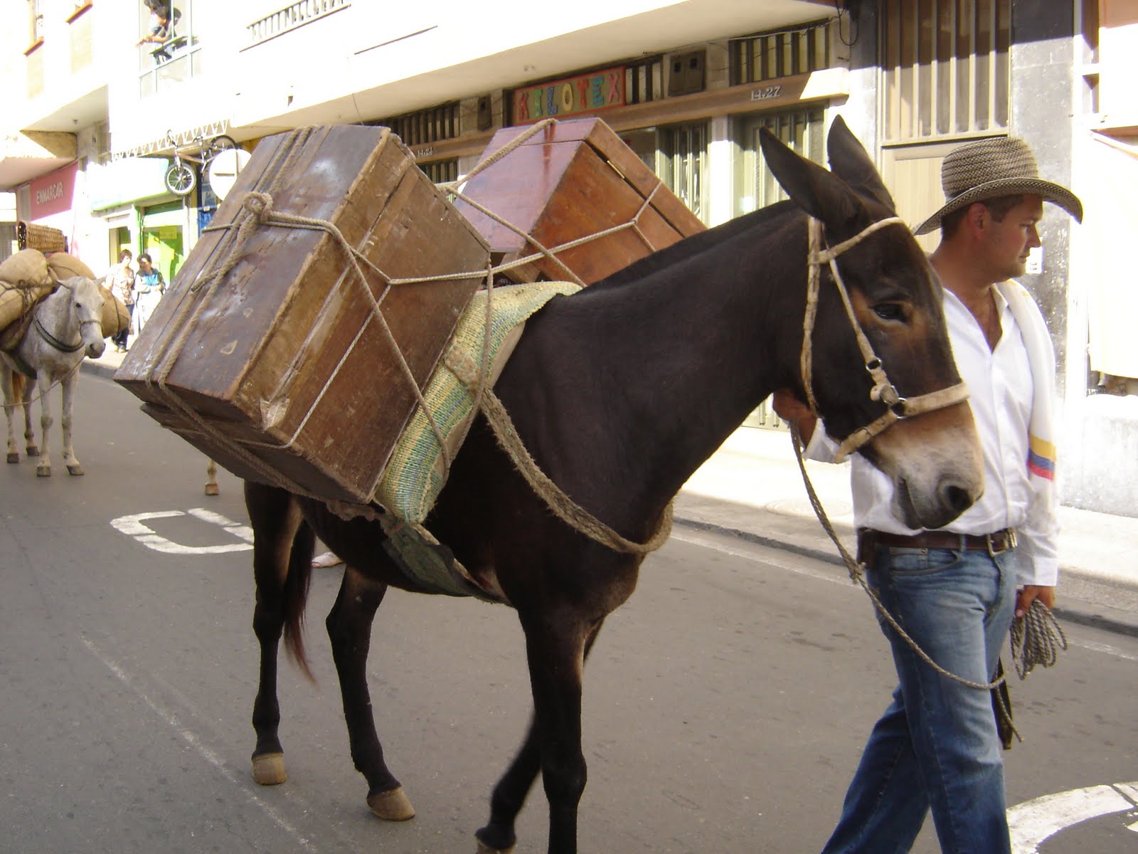 CAMINO DEL QUINDIO: 07/24/11