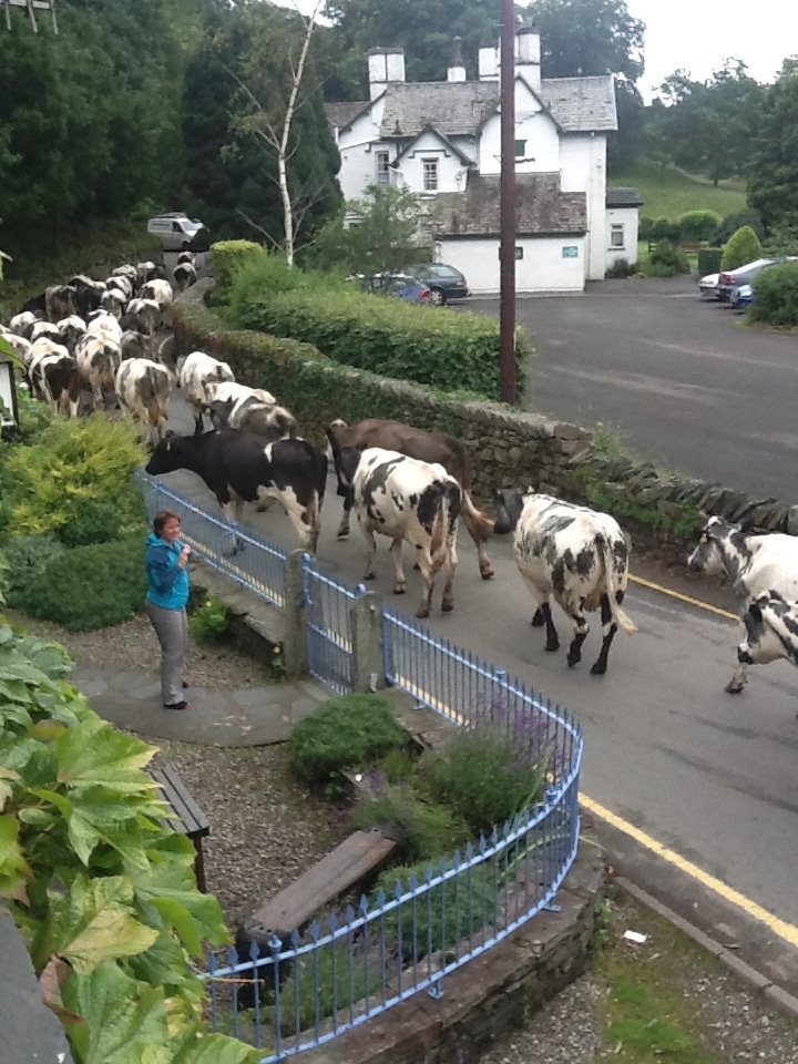 Day 3: Borrowdale to Grasmere – Beyond The Pale