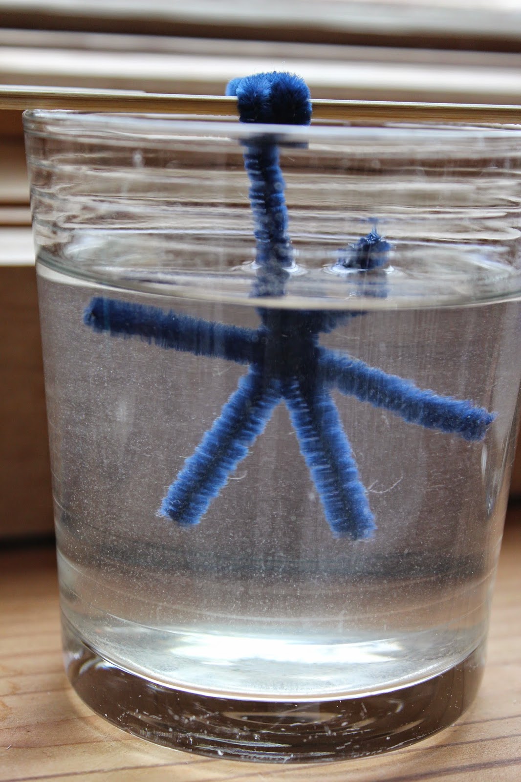 The Blue Barn: Growing Crystal Snowflakes