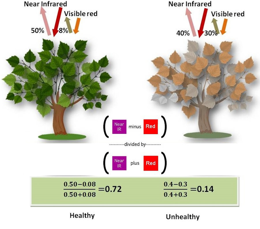MuonRay: NIR Environmental Vegetation Monitoring For Ecosystems and ...