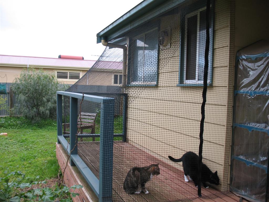 At Home with Kristy: New Cat Enclosure