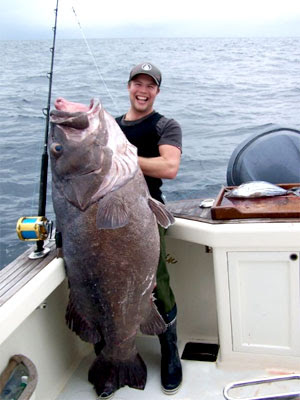 Big Fishes of the World: GROPUER WRECKFISH (Polyprion americanus)