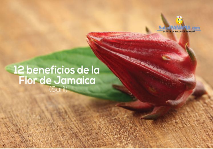 LA FLOR DEL SARIL-BENEFICIOS PARA LA SALUD - REVISTA DE NELE