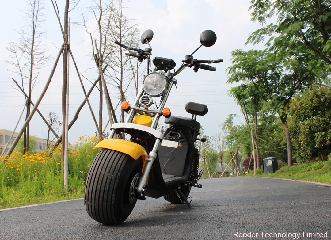 harley electric scooter: citycoco eec coc