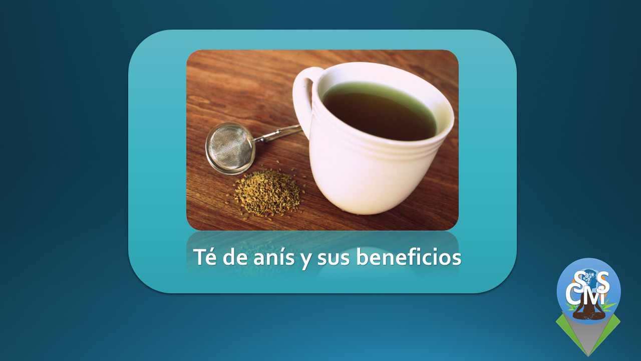 Té de anís y sus beneficios en nuestro cuerpo