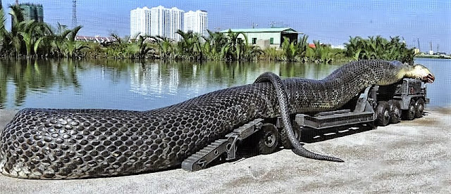 Fieggentrio: April 2012: Dit zijn de mooiste en leukste foto's van de ...