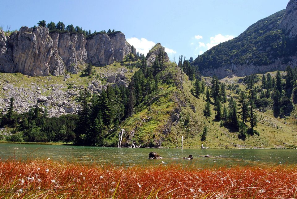 Besna Kobila | The most beautiful and best wallpapers of nature and ...