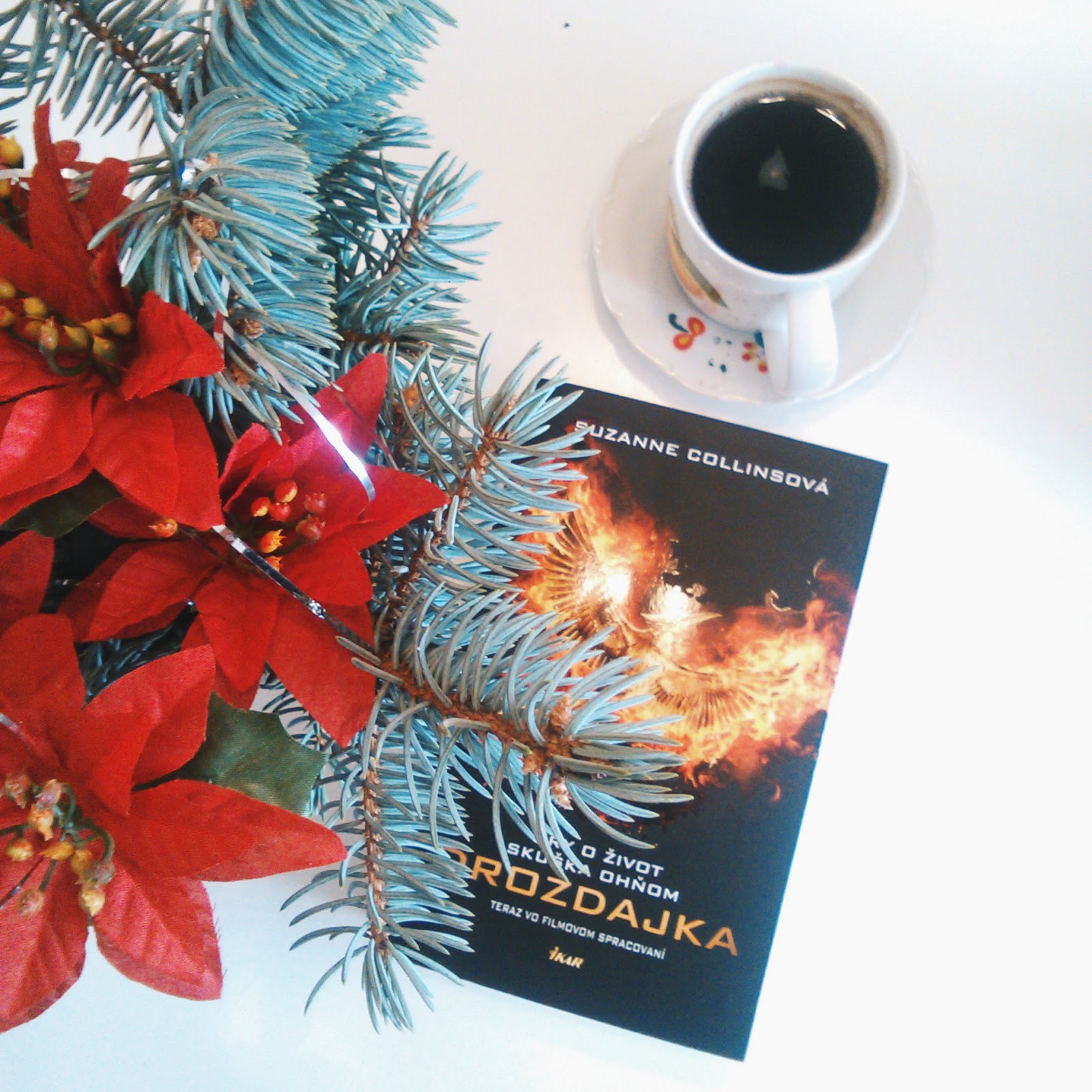 Recenzia: Skúška ohňom - Suzanne Collins - What Thomas Read