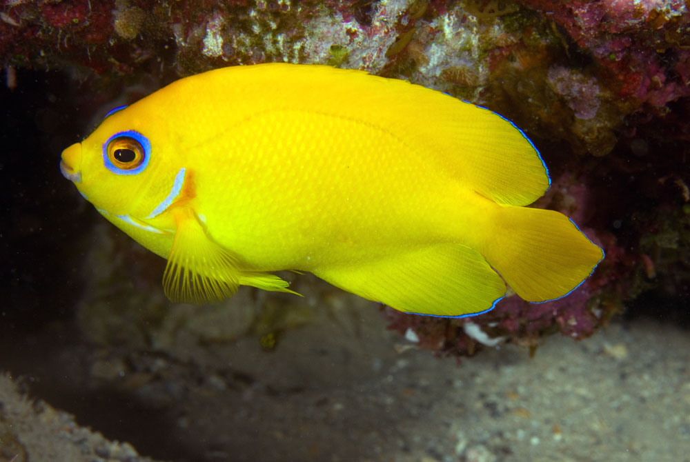 March 2018 ~ Everything About Fish