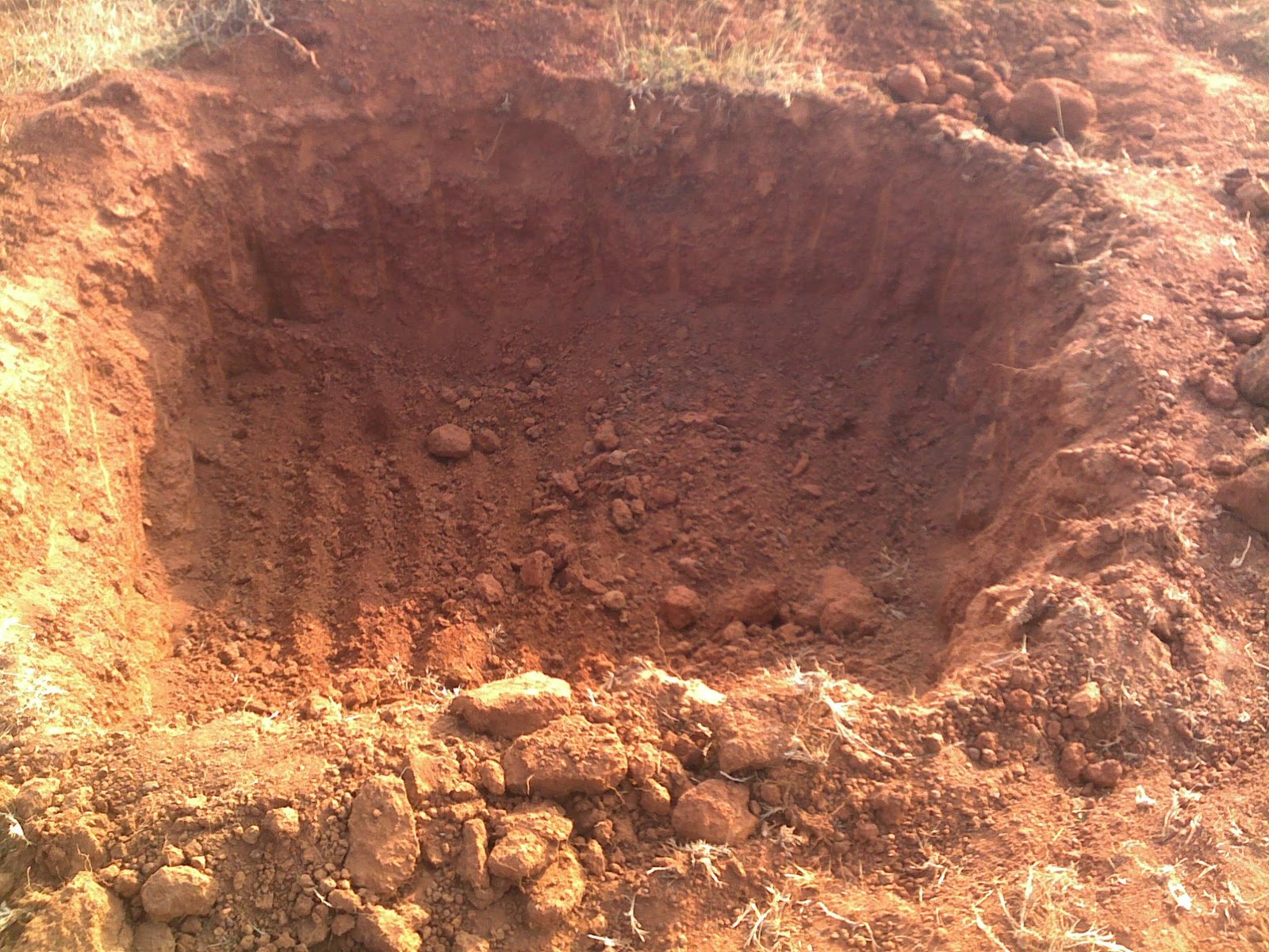 Techie2Aggie: Making some in-house organic Manure: Paddy Waste