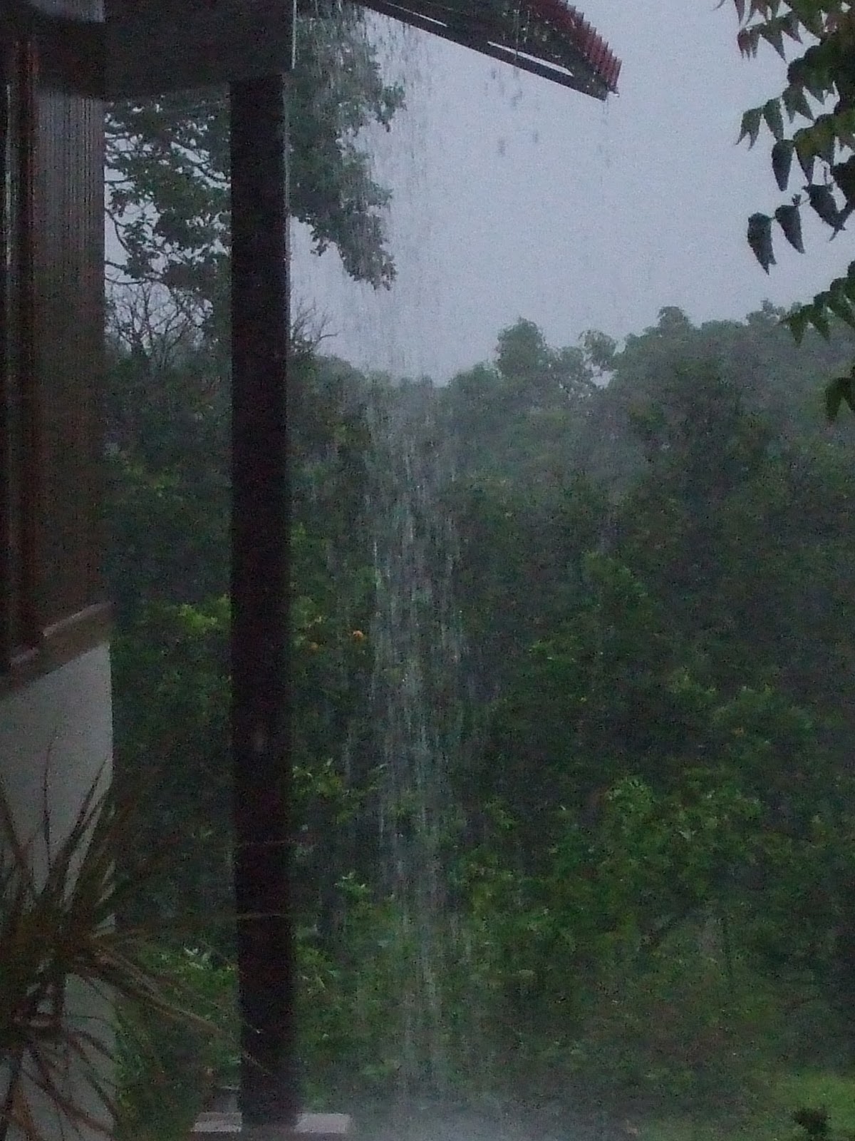 Family Travel Blog : The Rainy Season in Costa Rica