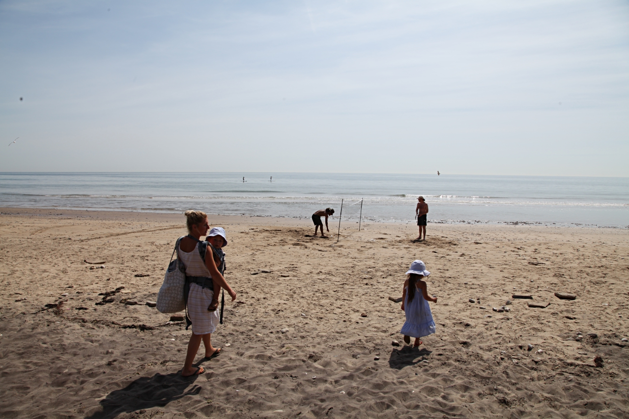 Compton Farm Camping | Journal